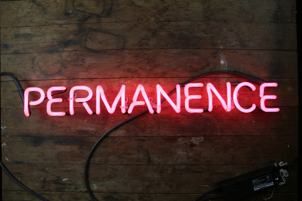 Permanence | David Neevel